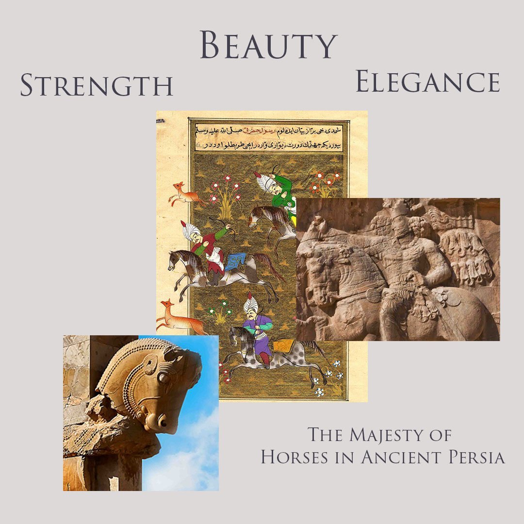 Persian Horse: A Majestic Emblem of Culture and Heritage | Craftestan