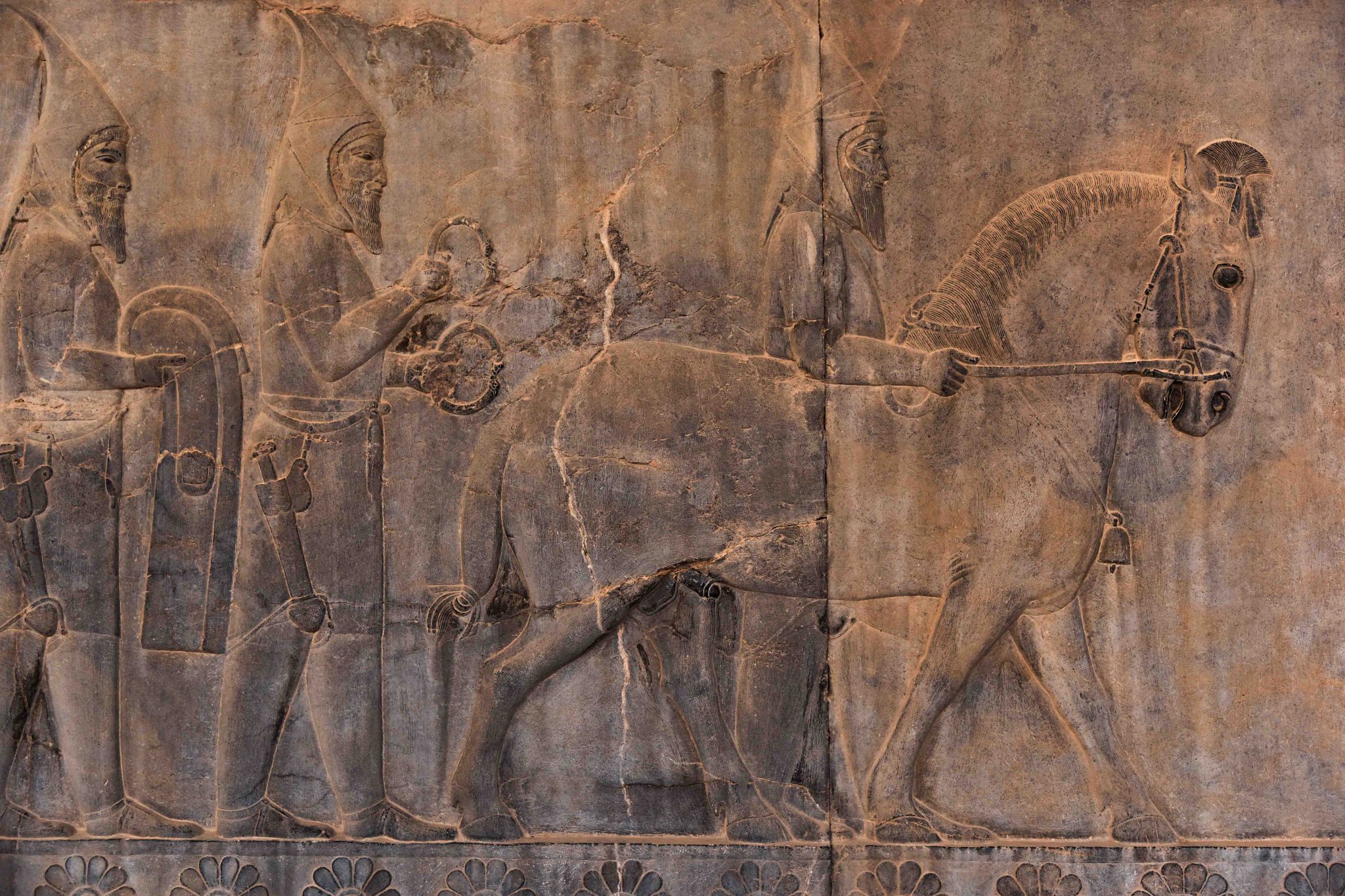 Persian Horse: A Majestic Emblem of Culture and Heritage | Craftestan