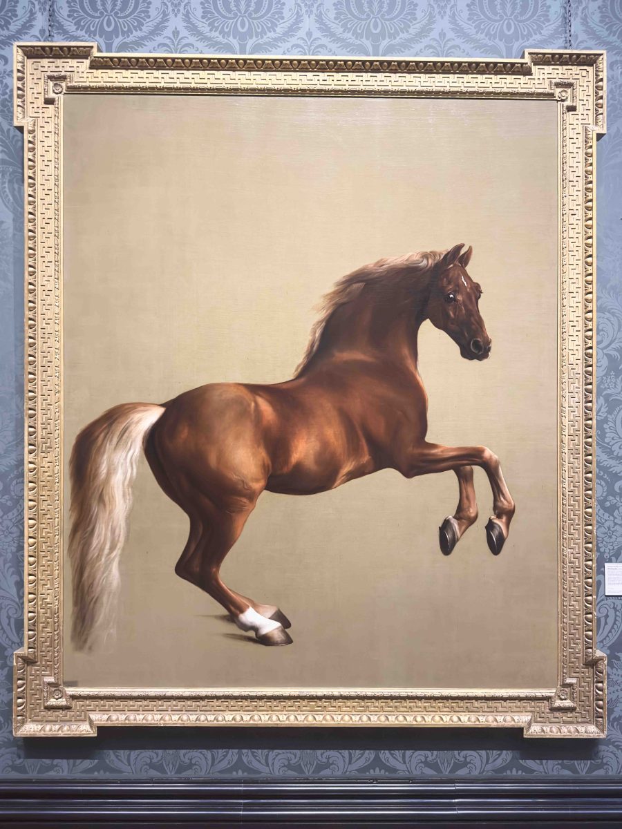 Stubbs' Whistlejacket: Arabian Horse | Craftestan