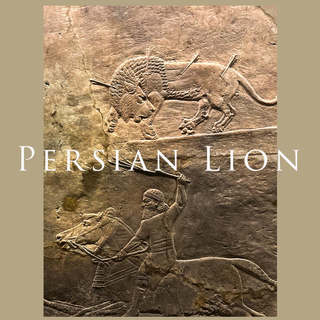 Persian Lion: Art, Symbolism & Middle Eastern Legacy | Craftestan